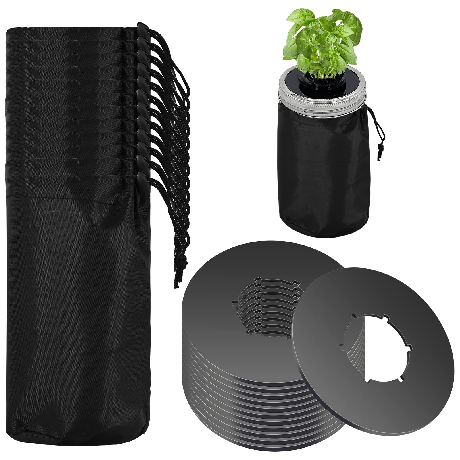 How to Set Up a Kratky Mason Jar Hydroponic System - kyliegrows